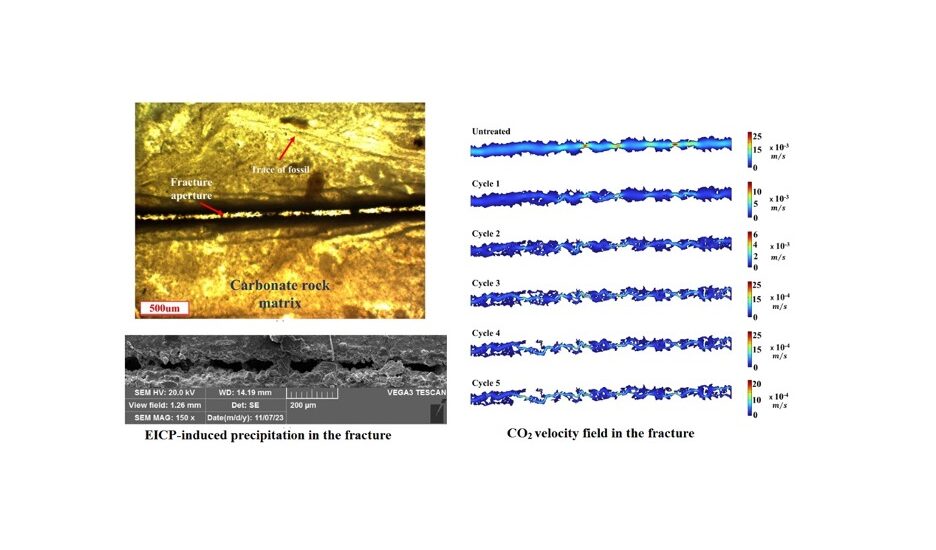 A Pore-Scale Study of Fracture Sealing Through Enzymatically-Induced Carbonate Precipitation ...
